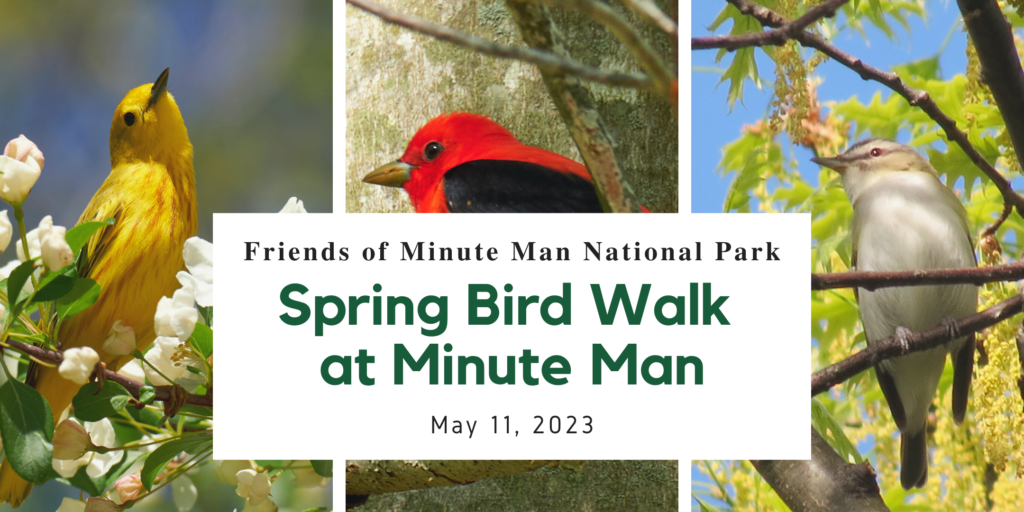 Spring Bird Walk at Minute Man National Historical Park | Freedom's Way ...