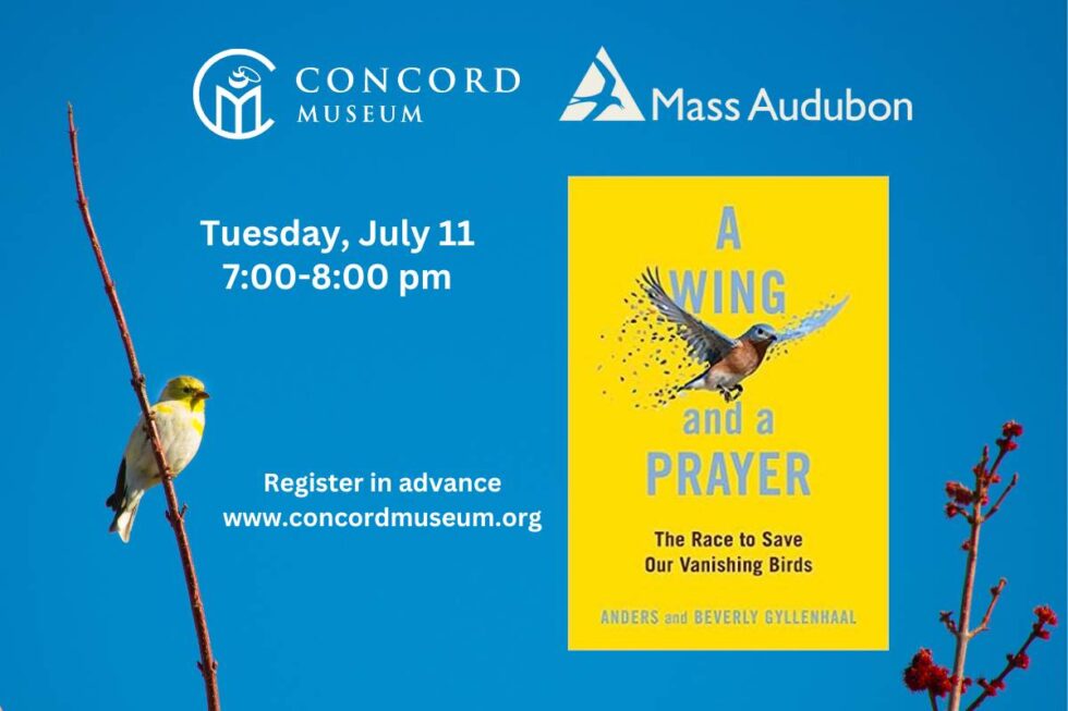 A Wing and a Prayer: The Race to Save Our Vanishing Birds | Freedom's ...